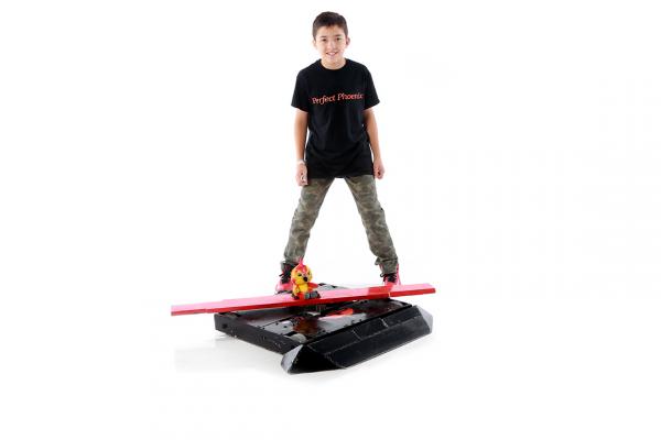 Perfect Phoenix (2021) - BattleBots