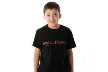 Perfect Phoenix (2021) - BattleBots